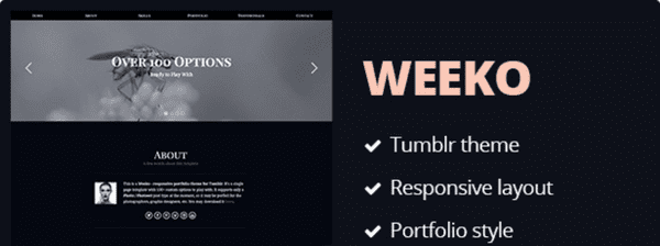 20 Best Tumblr Portfolio Themes For 2014 - I.T. For Less