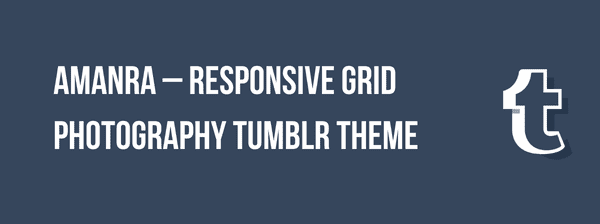 20 Best Tumblr Portfolio Themes For 2014 - I.T. For Less
